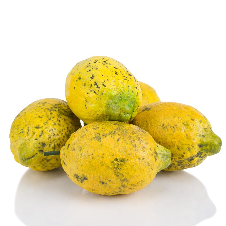 Handmade Lemon | Ceramic | Real Life Size - Etsy