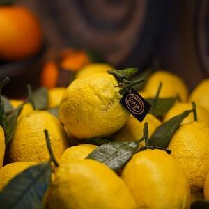 Handmade Lemon | Ceramic | Real Life Size - Etsy