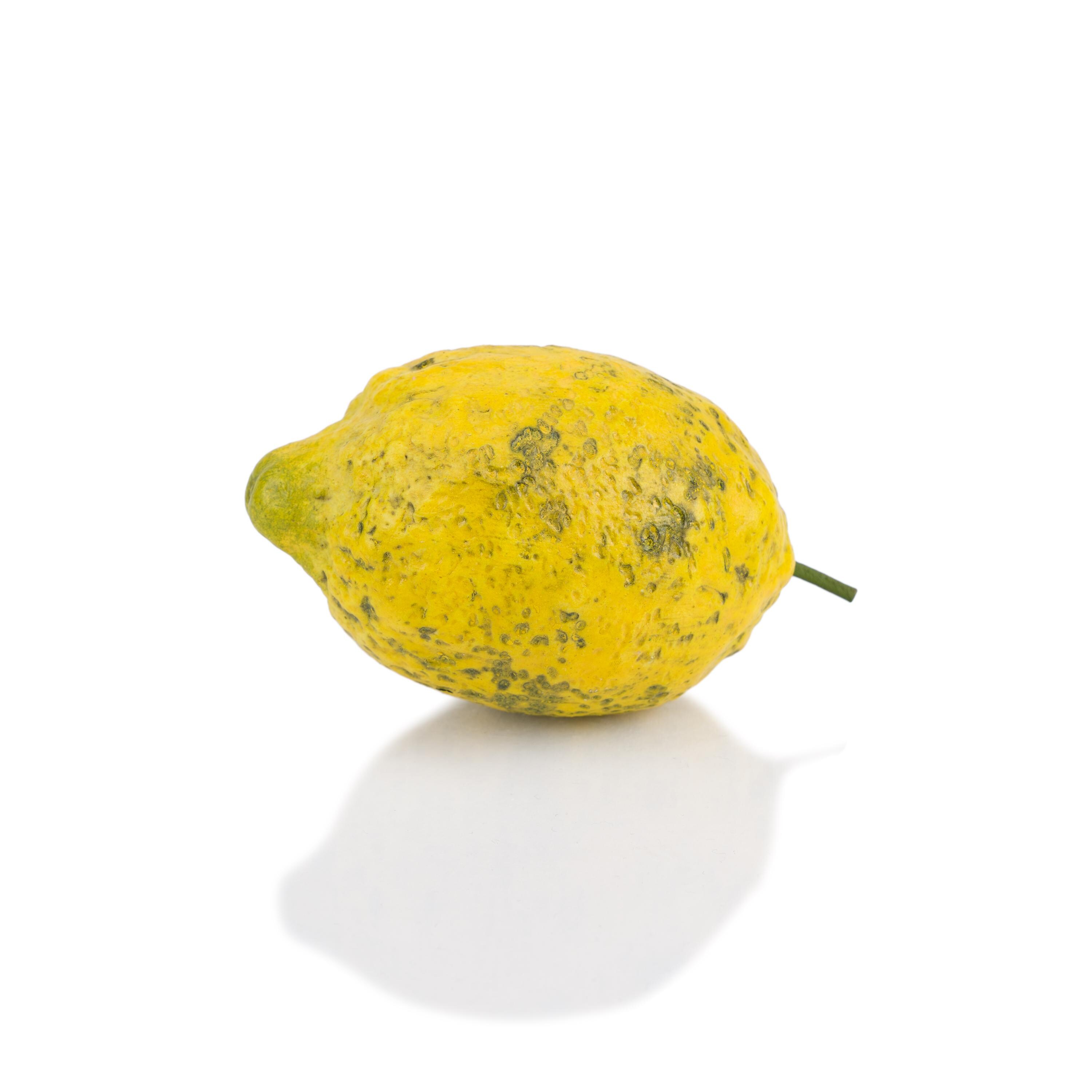 Handmade Lemon | Ceramic | Real Life Size - Etsy