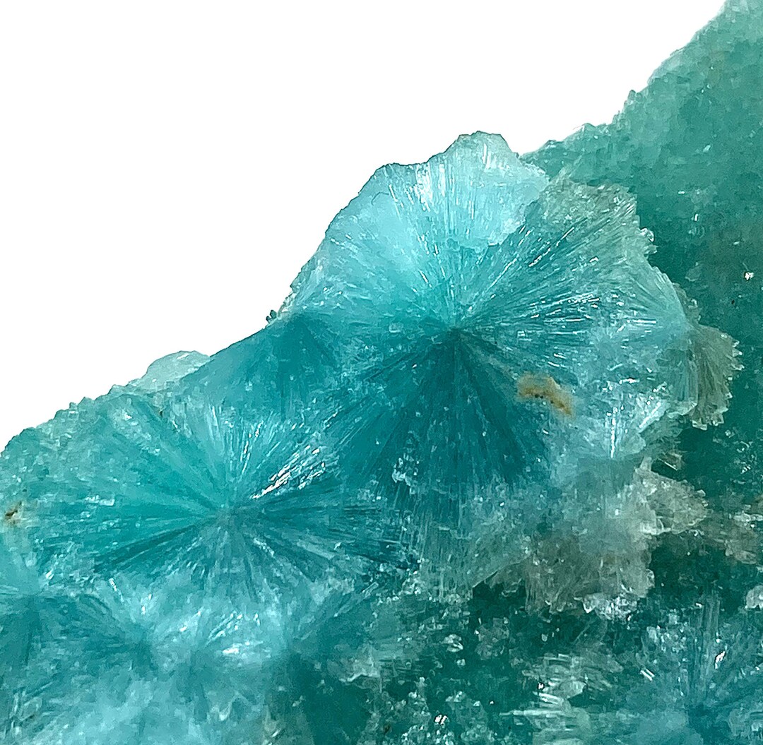 195 Gram Unique Flower Shape Blue ARAGONITE Crystal Specimen From ...