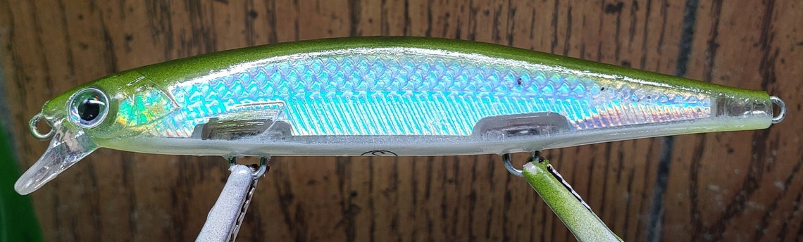 Custom Painted Shallow Diving Foil Jerk Bait - Etsy