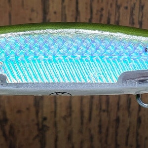 Custom Painted Shallow Diving Foil Jerk Bait - Etsy