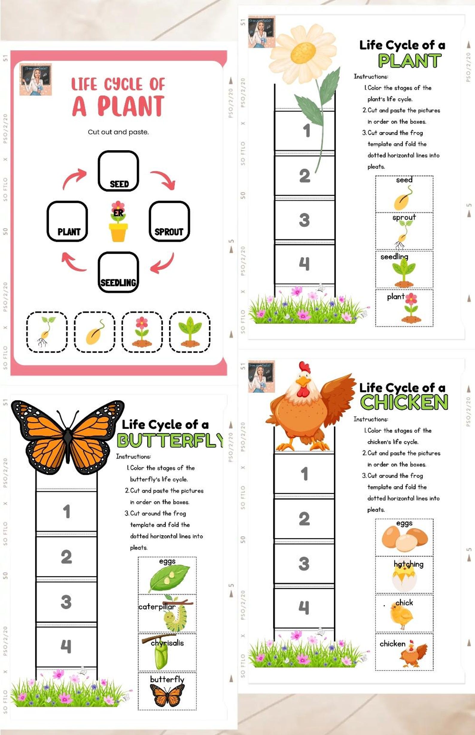 Human Life Cycle and Human Cycle of Animals - Etsy
