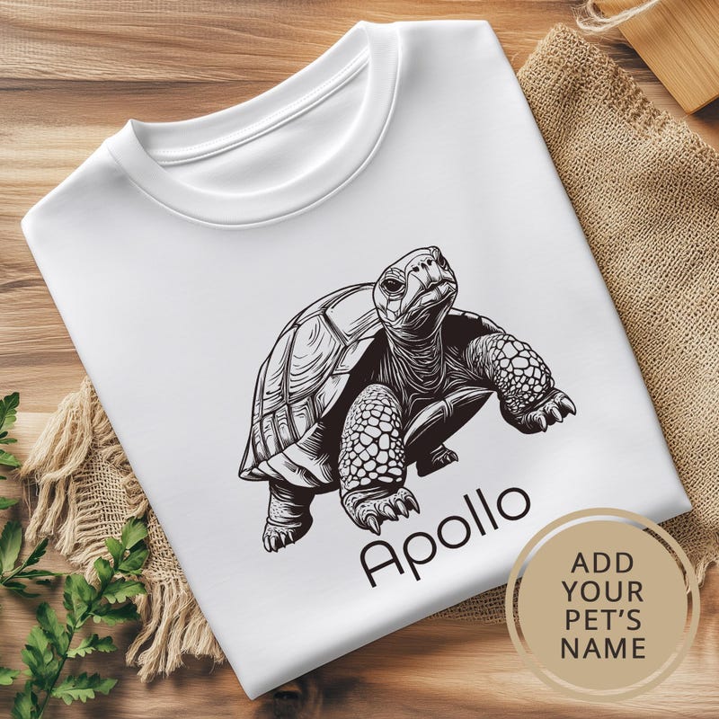 Clothing for Tortoises - Etsy