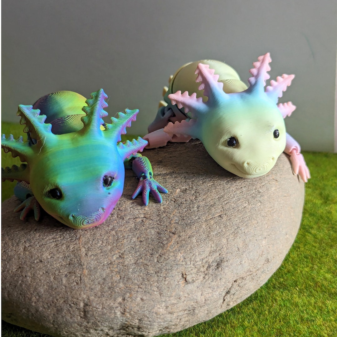 Fidget Flexi Axolotl ,cute Axolotl 3D Printed, Fidget Toy, Desktop Toy ...