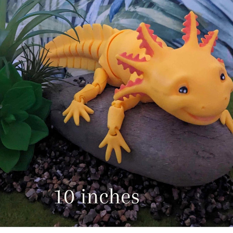 Fidget Flexi Axolotl ,cute Axolotl 3D Printed, Fidget Toy, Desktop Toy ...