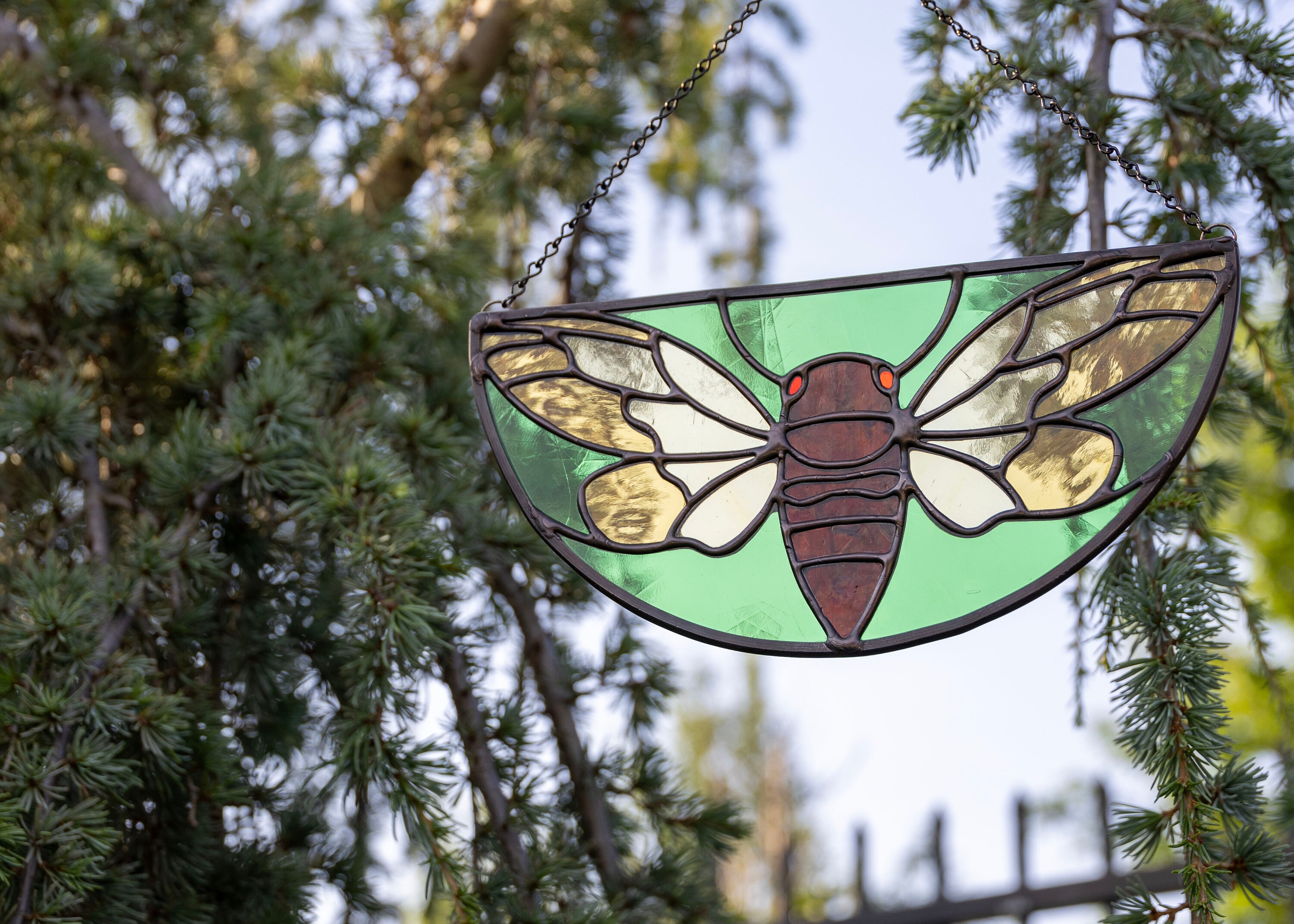 Cicada • Stained Glass Pattern • Digital Download • HOBBY LICENSE - Etsy