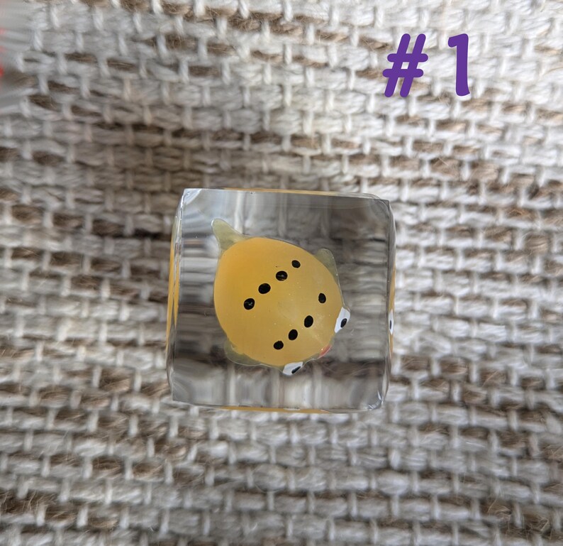 Mini Resin Fish Tank, Cube Resin, Fish in the Cube, Animal in the Cube ...