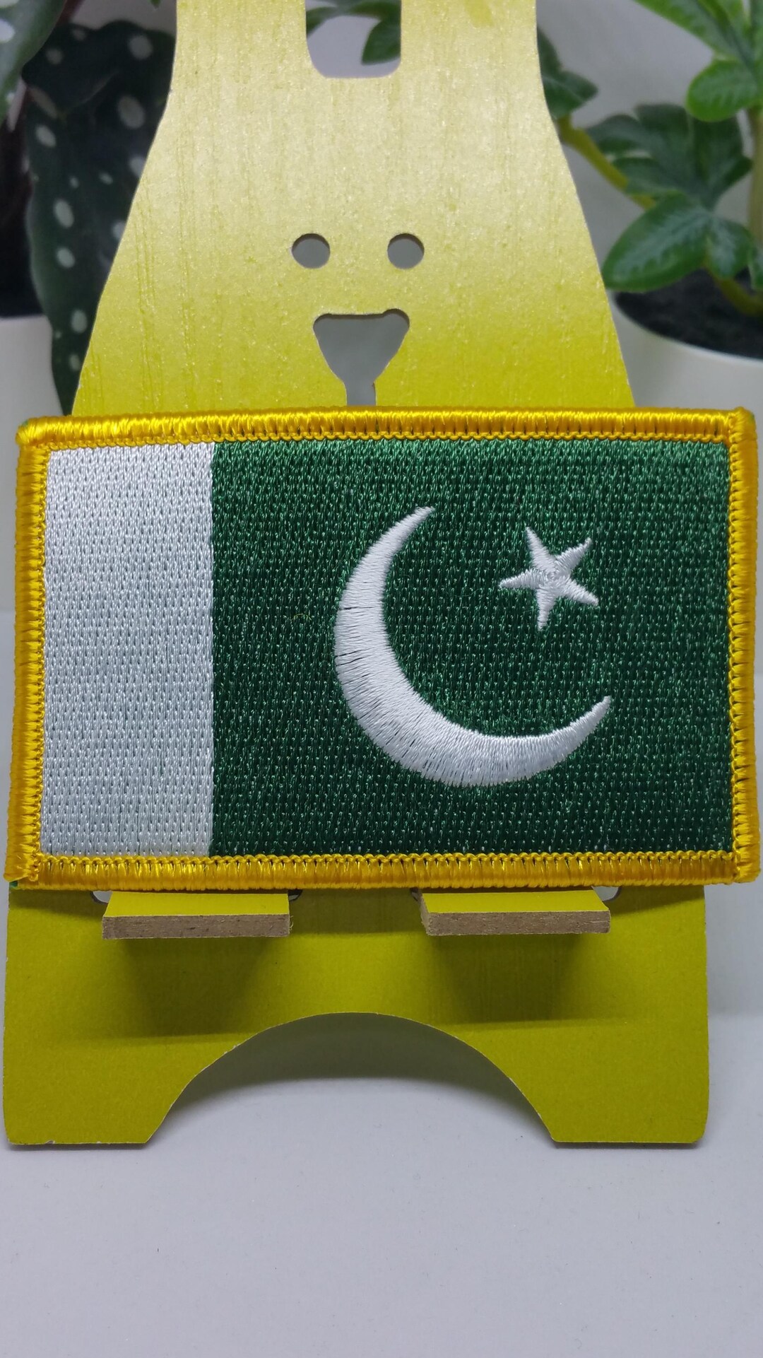 The Islamic Republic of Pakistan Flag Patch Morale Patch - 2x3 Inches ...