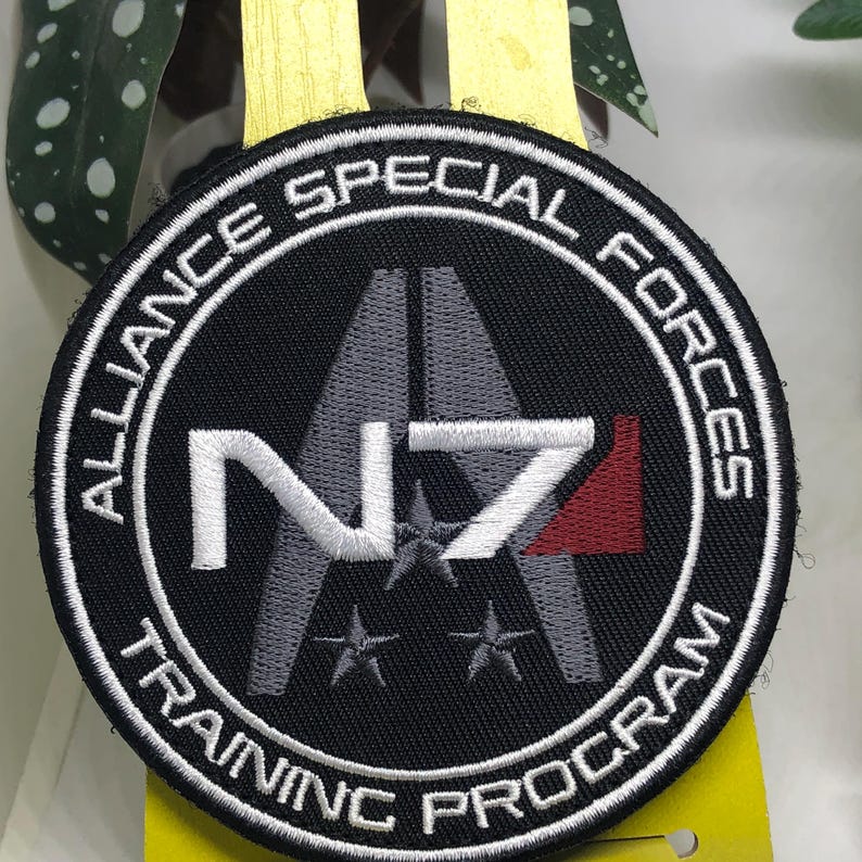 Alliance Special Forces Training Program, Commander Shepard Cosplay ...