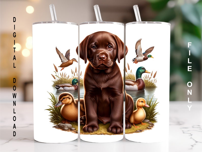 Chocolate Lab Puppy Mallard Ducks PNG Jpg Instant Downloadable DIGITAL ...