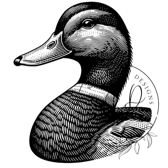 Wood Duck Head Outline
