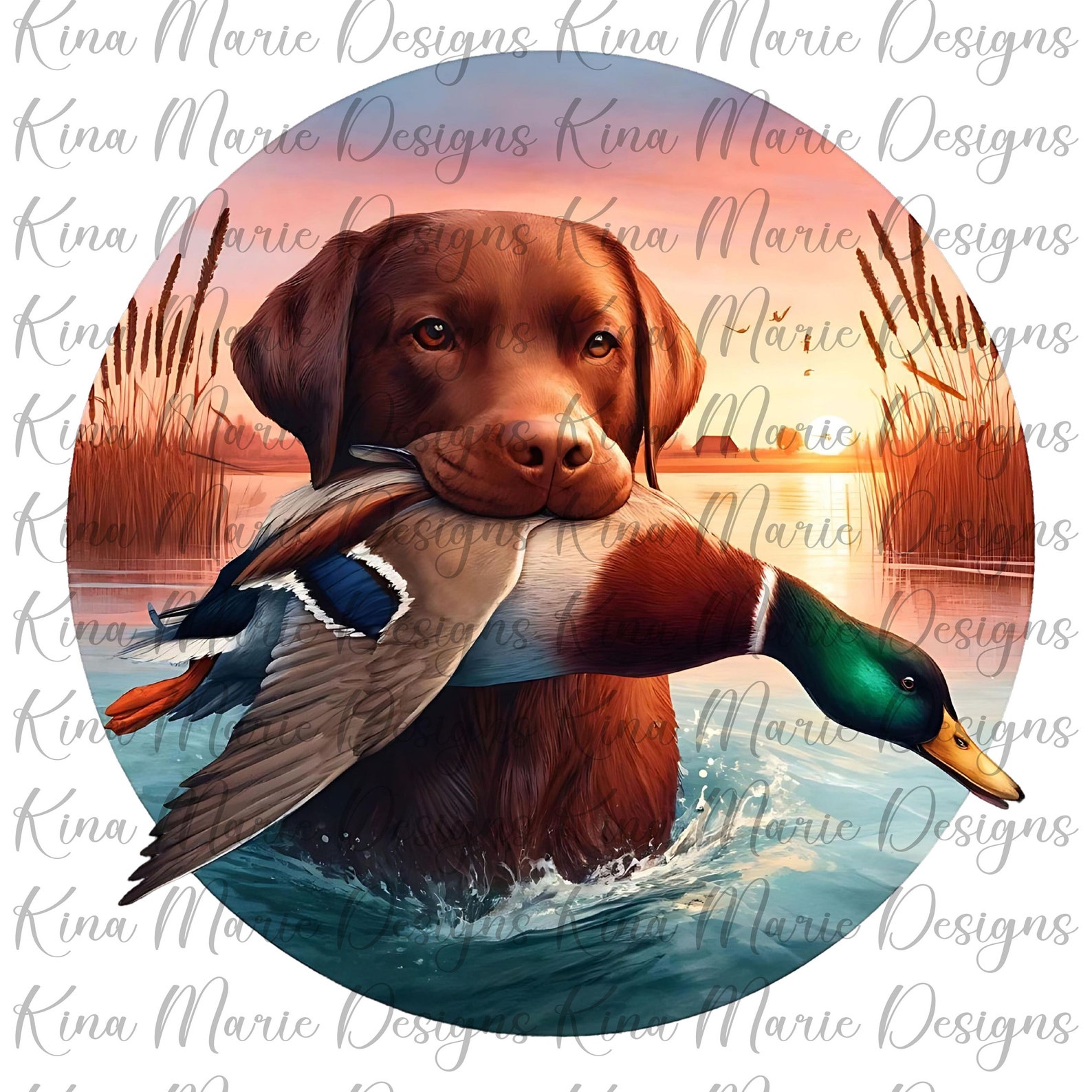Chocolate Lab Pup Mallard Duck Hunting PNG Jpg Instant Downloadable ...