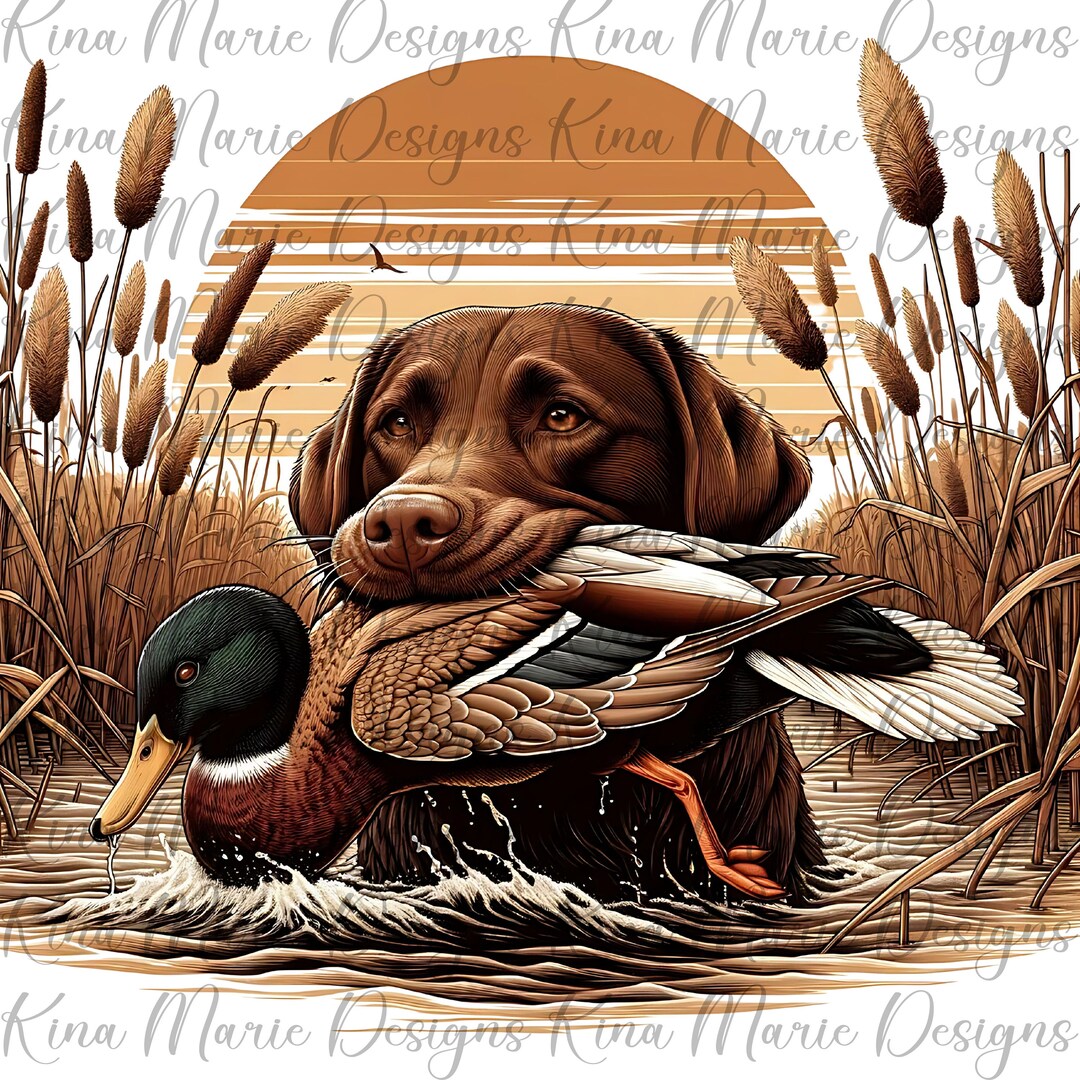 Chocolate Lab Mallard Duck Hunting PNG Jpg Instant Downloadable DIGITAL ...