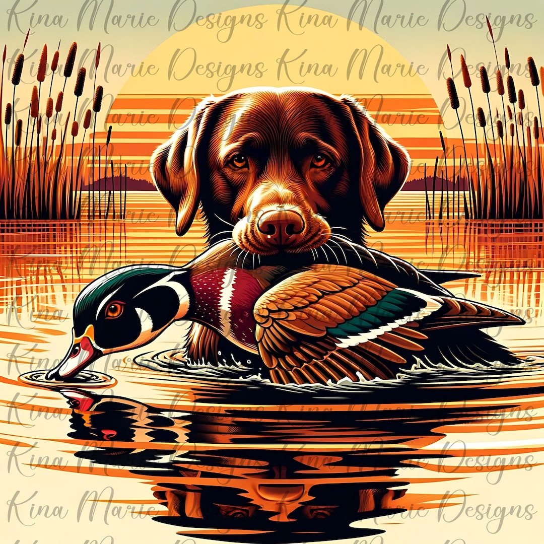 Chocolate Lab Wood Duck Hunting PNG Jpg Instant Downloadable DIGITAL ...