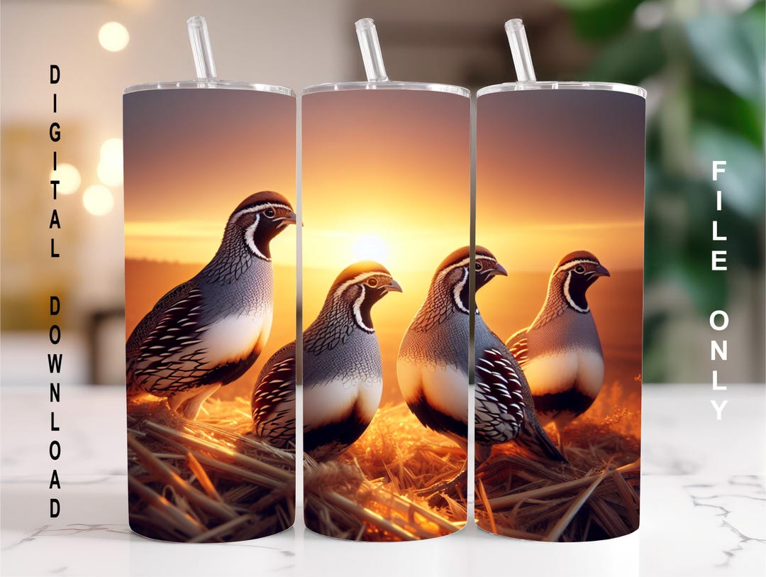 Quail Sunset Tumbler Wrap , Bob White Quail Sublimation PNG Digital ...