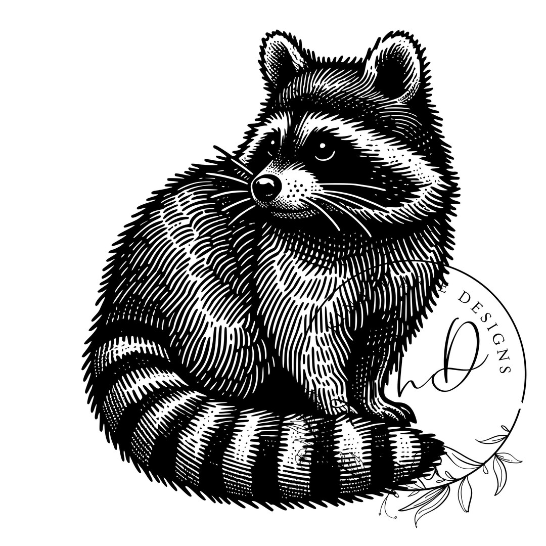 Dibujo de mapache SVG, Mapache SVG, Descarga digital de mapache, Caza ...