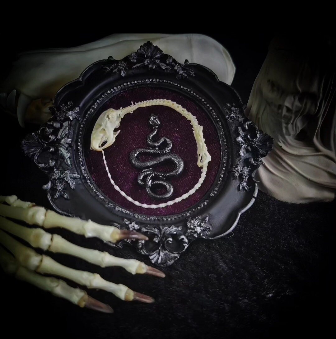 Uroboros Mouse in a Gothic Frame - Etsy