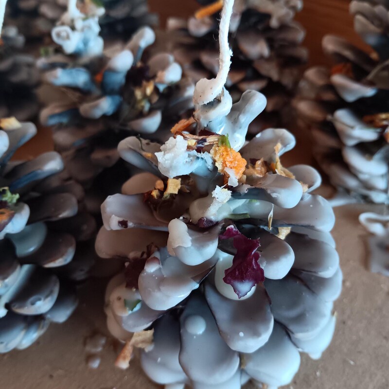 Magic Pinecone - Etsy