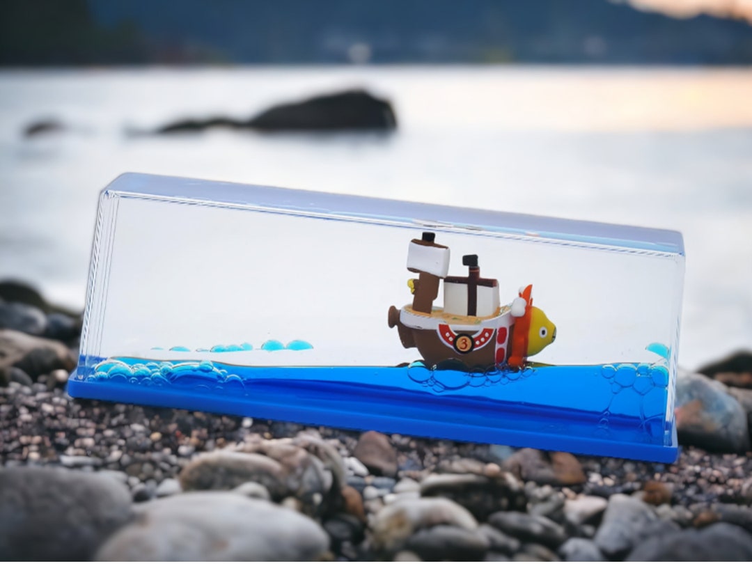 Thousand Sunny Bottle Draft, Sunny Pirate Ship Model Toys, Pirate ...