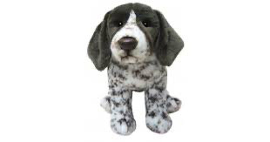 Brown and White German Shorthaired Pointer 12 Handmade Cuddly Toys - Etsy