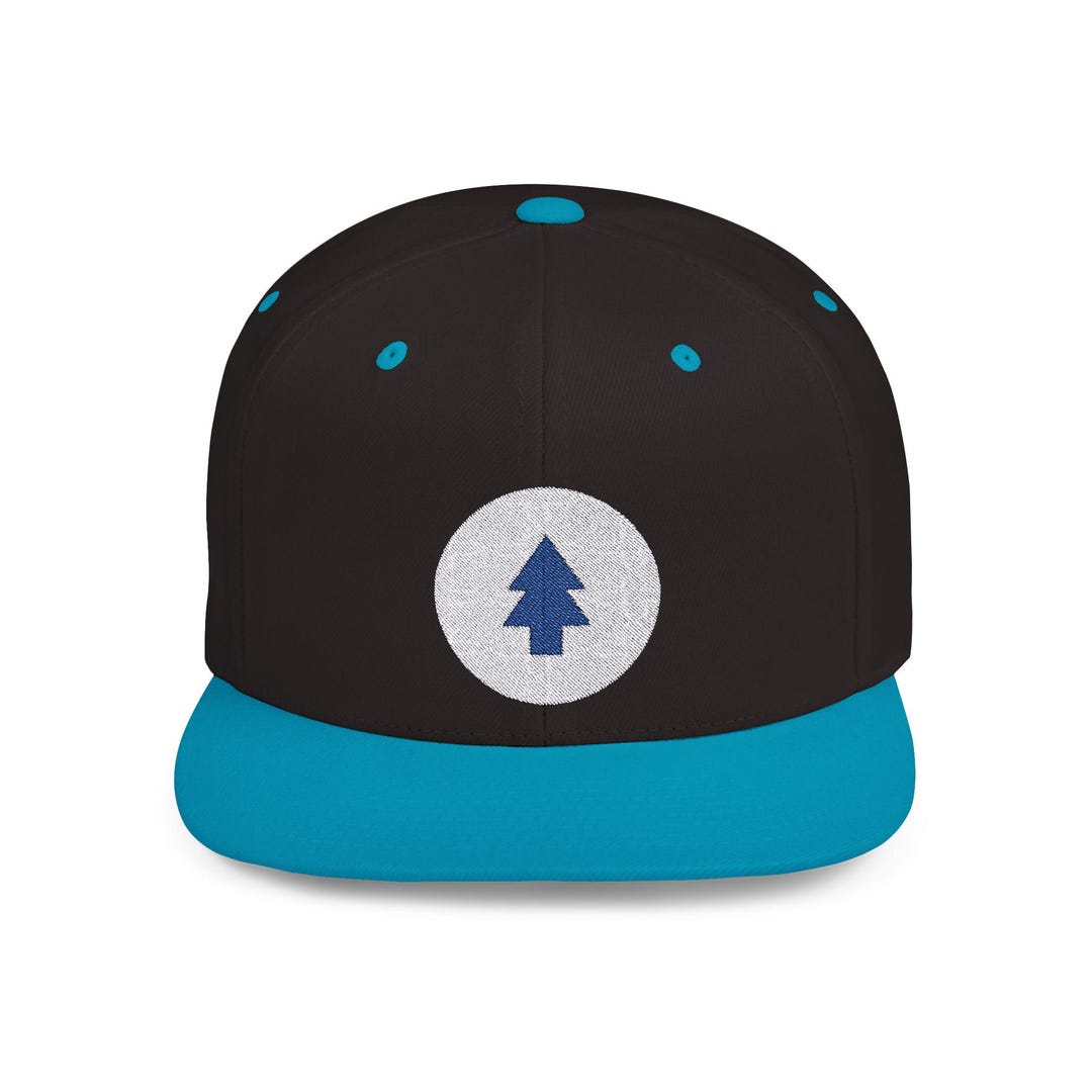 Embroidered Dipper Pines Gravity Falls Flat Bill Snapback Cap ...