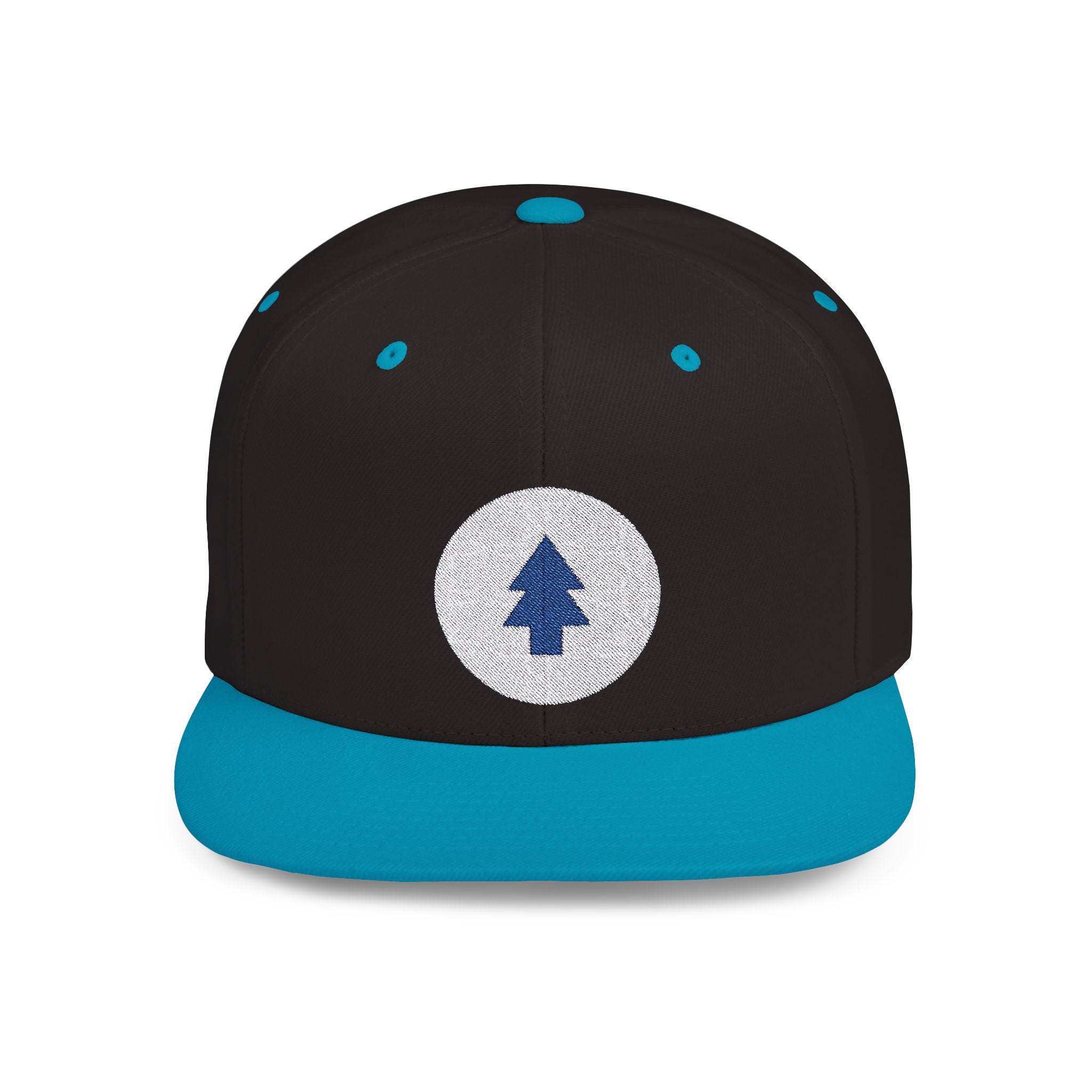 Dipper Gravity Falls Hat NEW Gravity Falls Dipper Pines Hat RARE SDCC