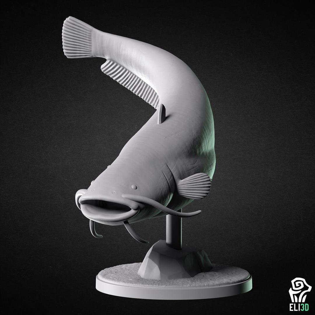 Wels Catfish - Animal STL File for 3D Printing - Etsy