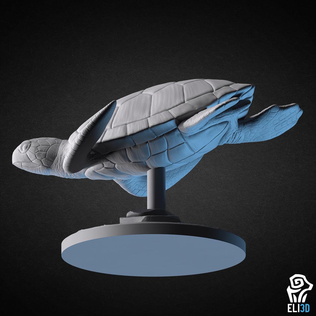 Sea Turtle - Animal STL File for 3D Printing - Etsy