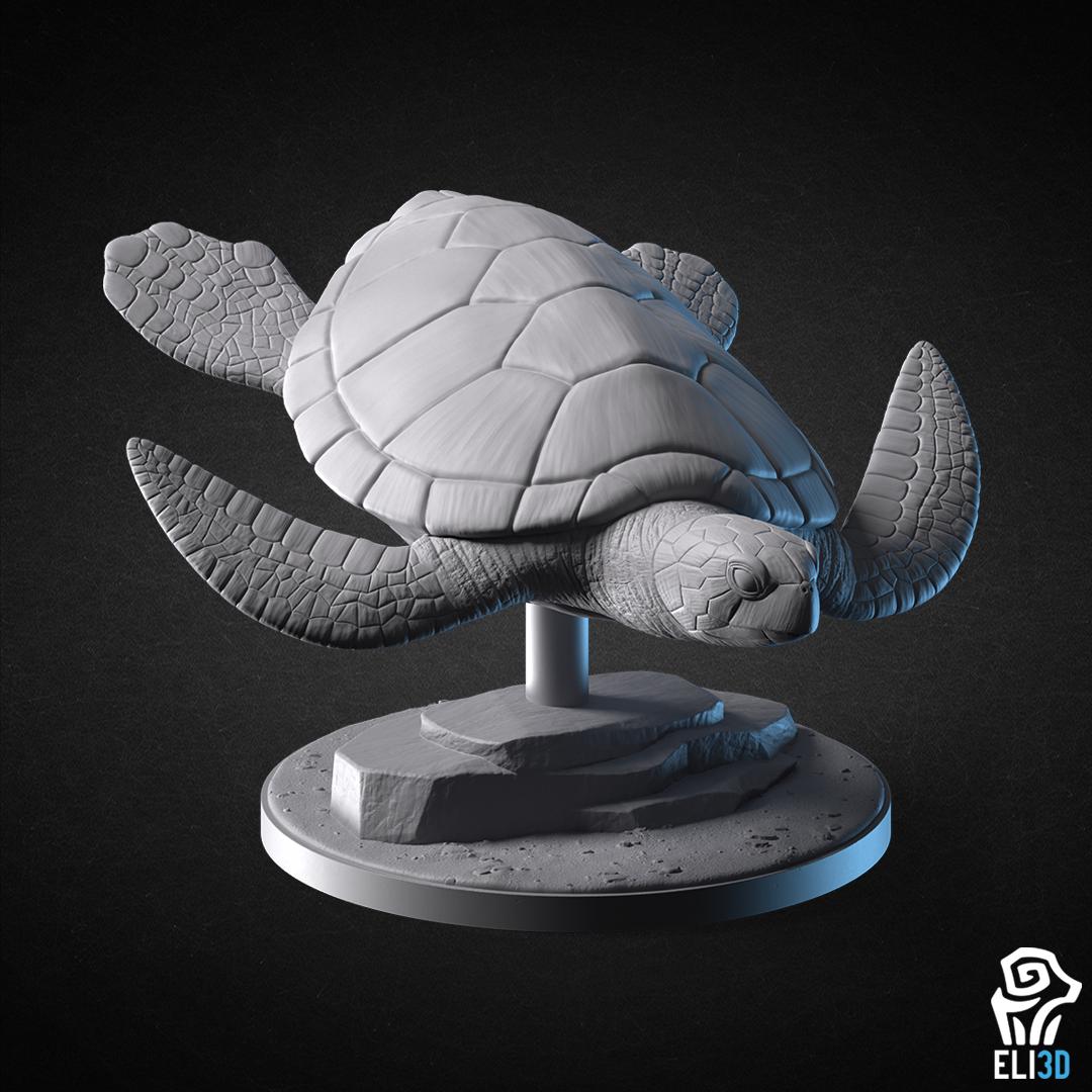 Sea Turtle - Animal STL File for 3D Printing - Etsy