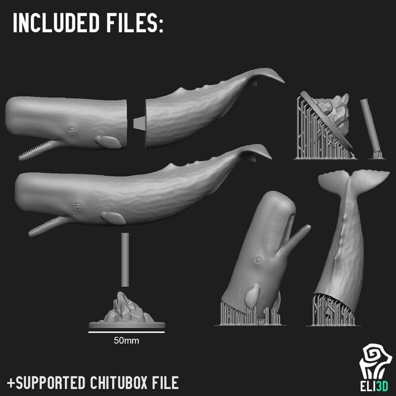 Animals - Ocean Wildlife - STL Files for 3D Printing - Etsy