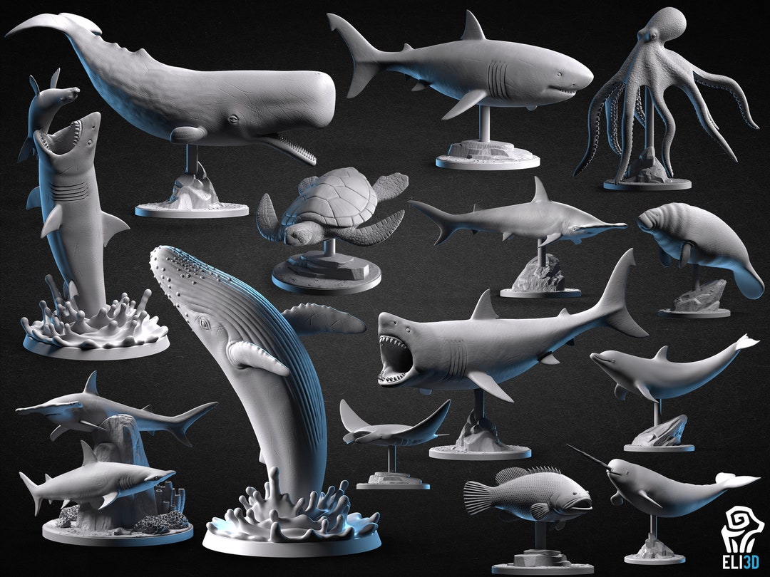 Animals - Ocean Wildlife - STL Files for 3D Printing - Etsy
