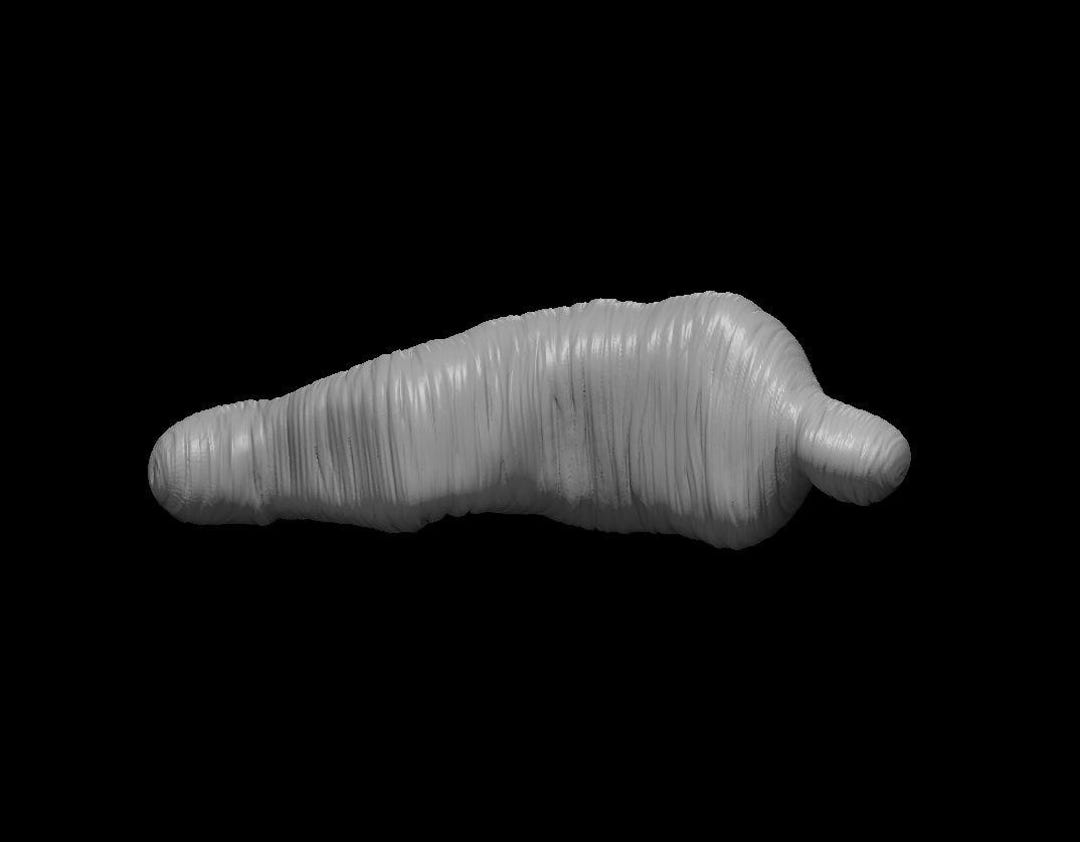 Body in Spider Webs Terrain Dungeon Scatter Cocooned Victim Scalable ...