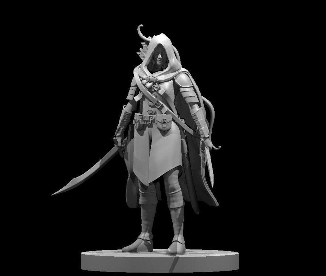 Elf Female Ranger | Dual-wielding Swordfighter | 3D Printed Resin ...