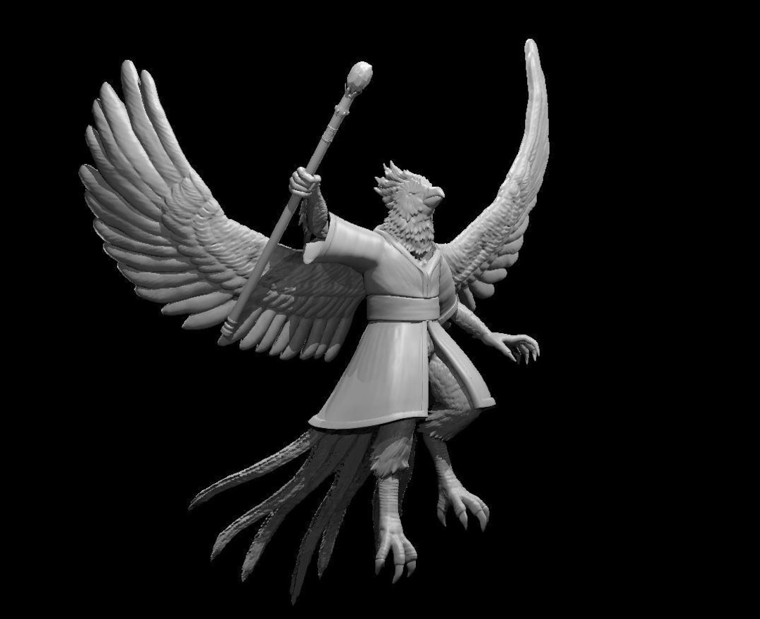 Aarakocra Aeromancer Miniature | 28mm Scale Monster Manual 2025 ...