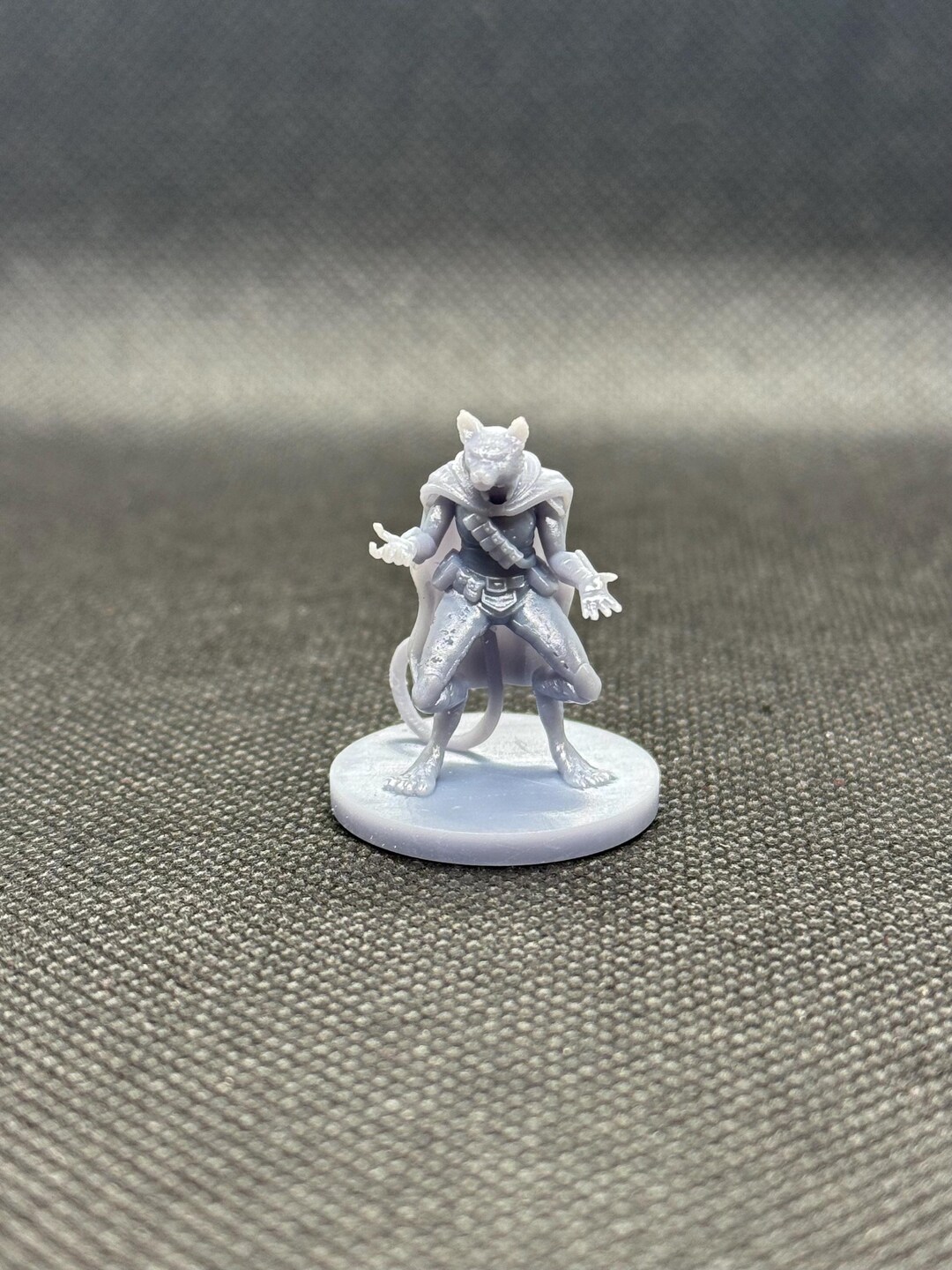 Two Dry Cloaks | 28mm Catfolk Rogue Miniature | Feline Swashbuckler for ...