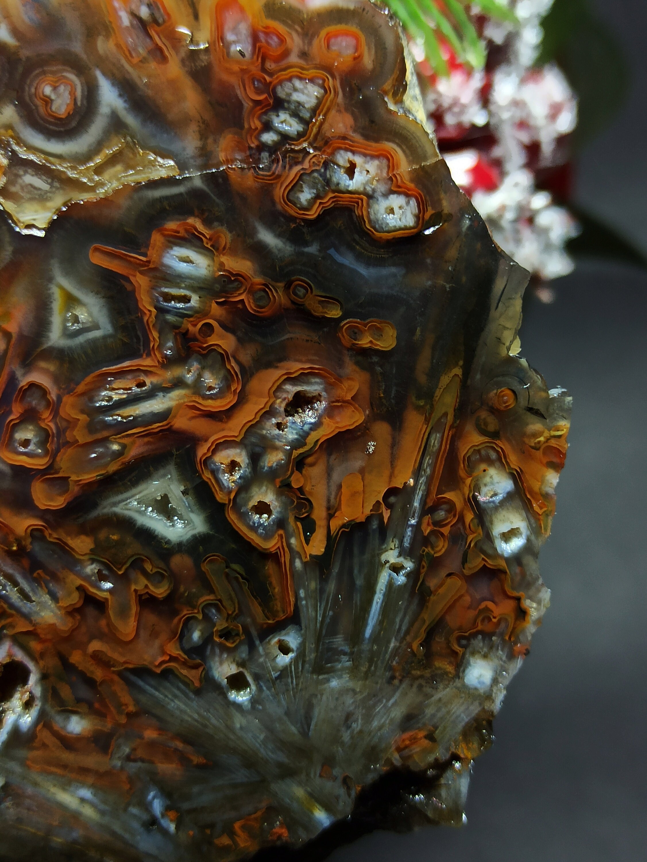 Rare 3D Turkish Red Stick Agate, Stick Agate, Metaphysical Crystals ...