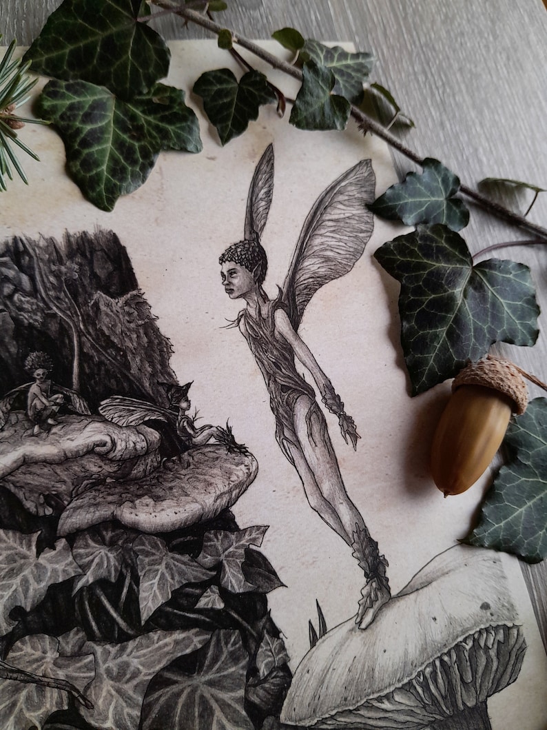 Wood Fairies Pencil & Ink Art Print 18.5x26cm High Quality Print - Etsy