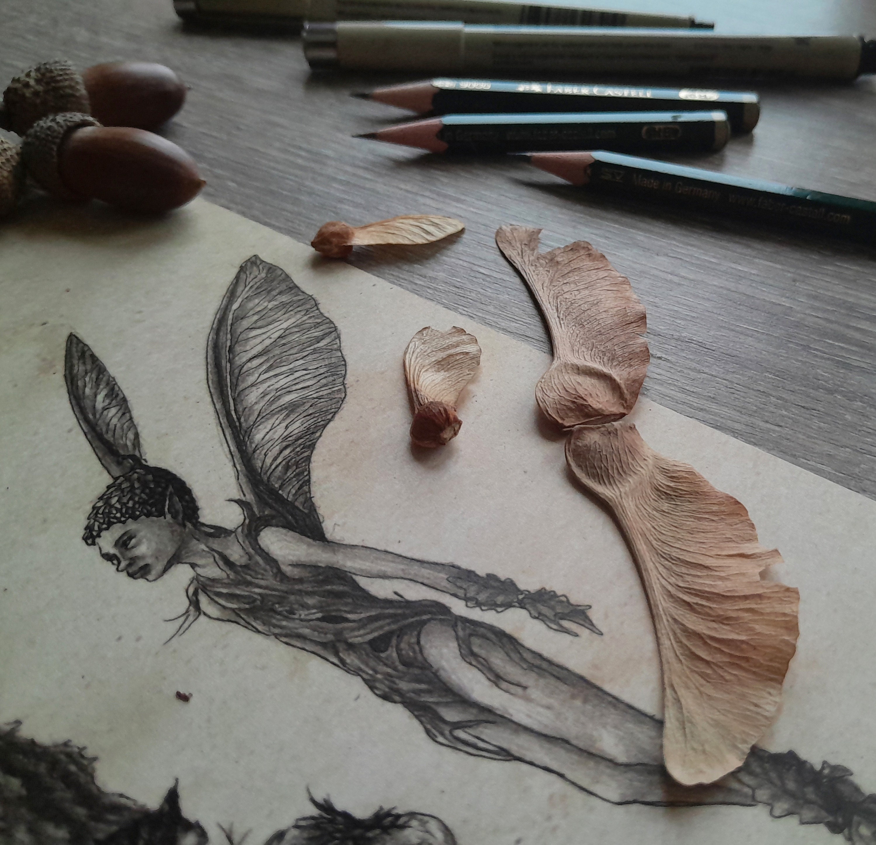 Wood Fairies Pencil & Ink Art Print 18.5x26cm High Quality Print - Etsy