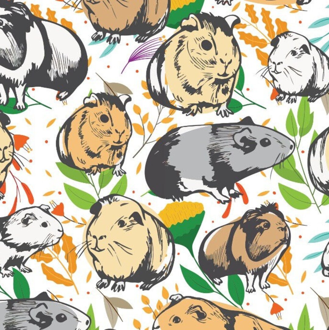 Guinea Pig Pattern - Etsy