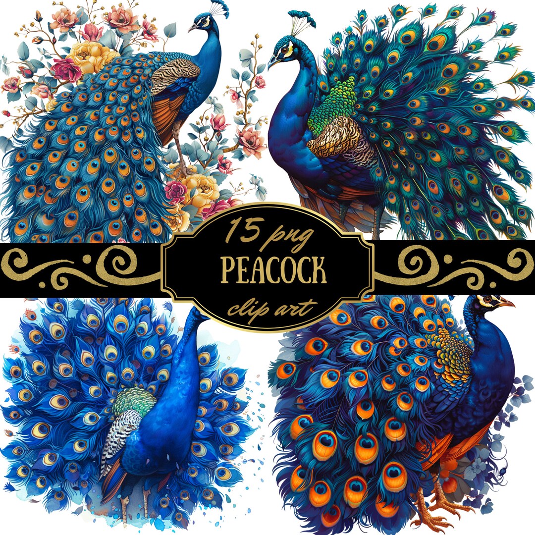 Elegant Peacock Clip Art Set: Perfect for Invitations & Posters ...