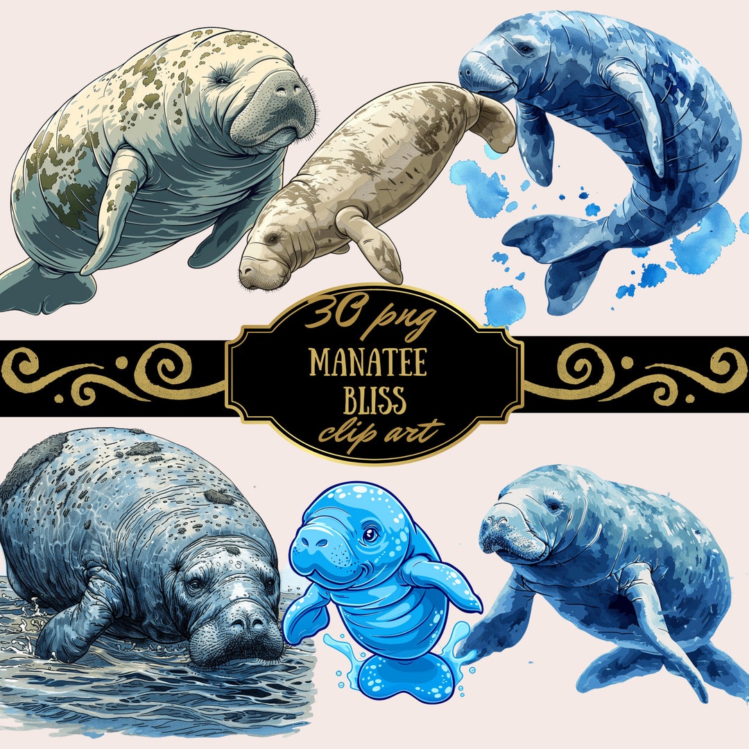 Manatee PNG - Charming and Graceful, Perfect for Fabric, Stationery ...