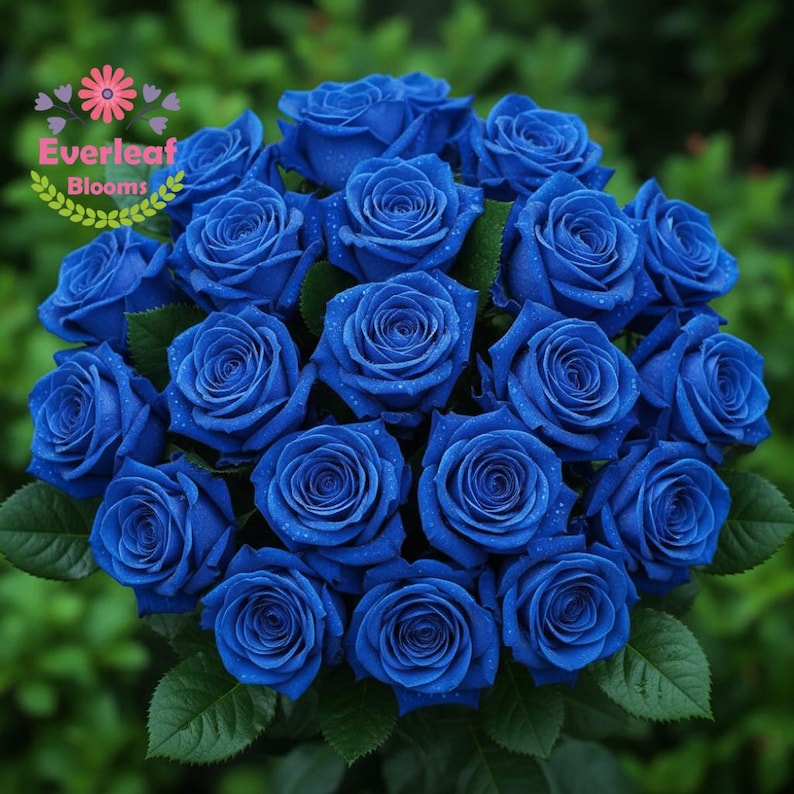 Blue Rose Seeds – Exotic Sapphire Blooms – Unique Perennial Garden ...