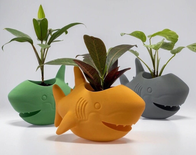 Shark Pot , Shark Plant Pot , Handmade Ceramics , Pottery - Etsy