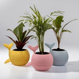 Whale Planter | Whale Pot | Animal Planter | Whale Plant Pot | Unique ...
