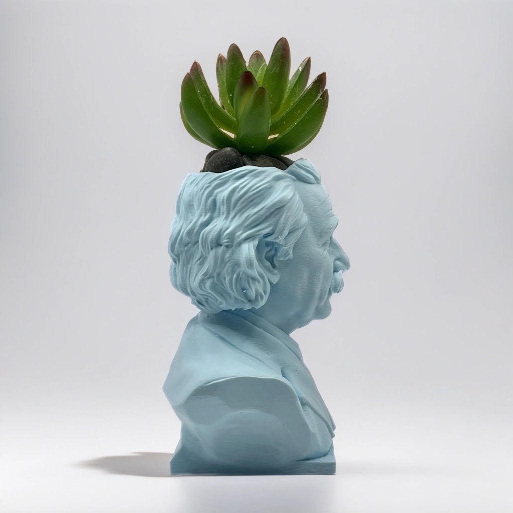 Einstein Planter Einstein Pot Kids Einstein Planter Cute Einstein ...