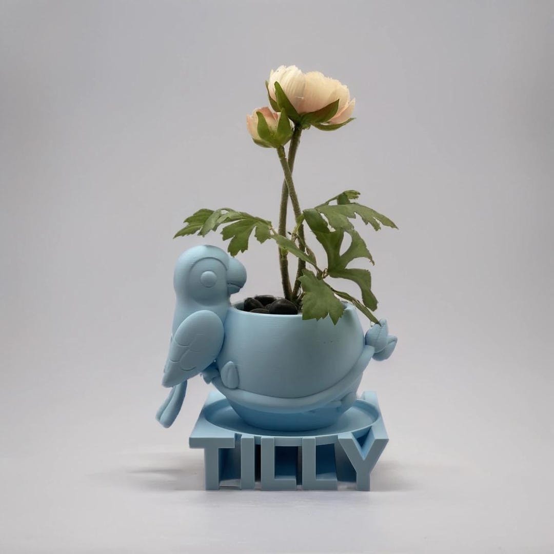 Custom Parrot Bird Planter | Custom Parrot Bird Pot | Custom Parrot ...