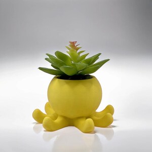 Octopus Planter Octopus Pot Kids Octopus Planter Cute Octopus Planter ...