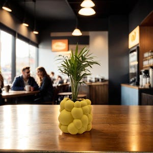 Cute Bubble Pot Playful Planter for Children Bubble Bath Inspired Plant ...