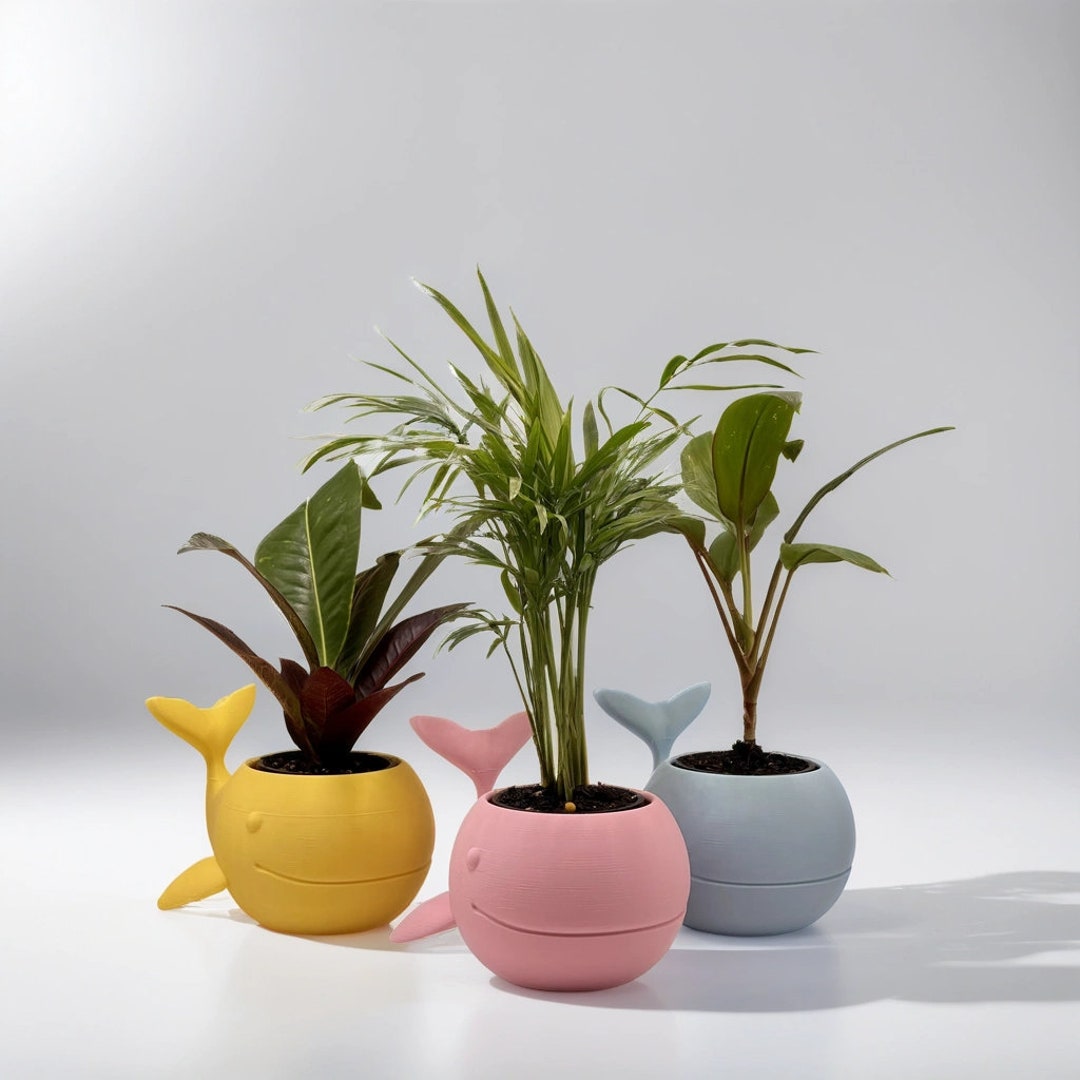 Whale Planter Whale Pot Animal Planter Whale Plant Pot Animal Plant Pot ...